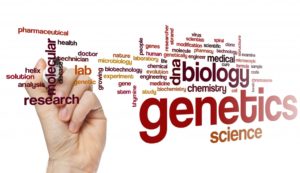 GENETICS 101: THE BASICS OF YOUR GENETIC LIBRARY | RMA Network ...